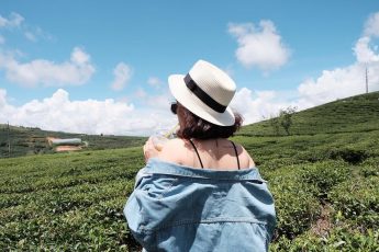 Kinh nghiệm đi Đồi chè Cầu Đất ở Đà Lạt